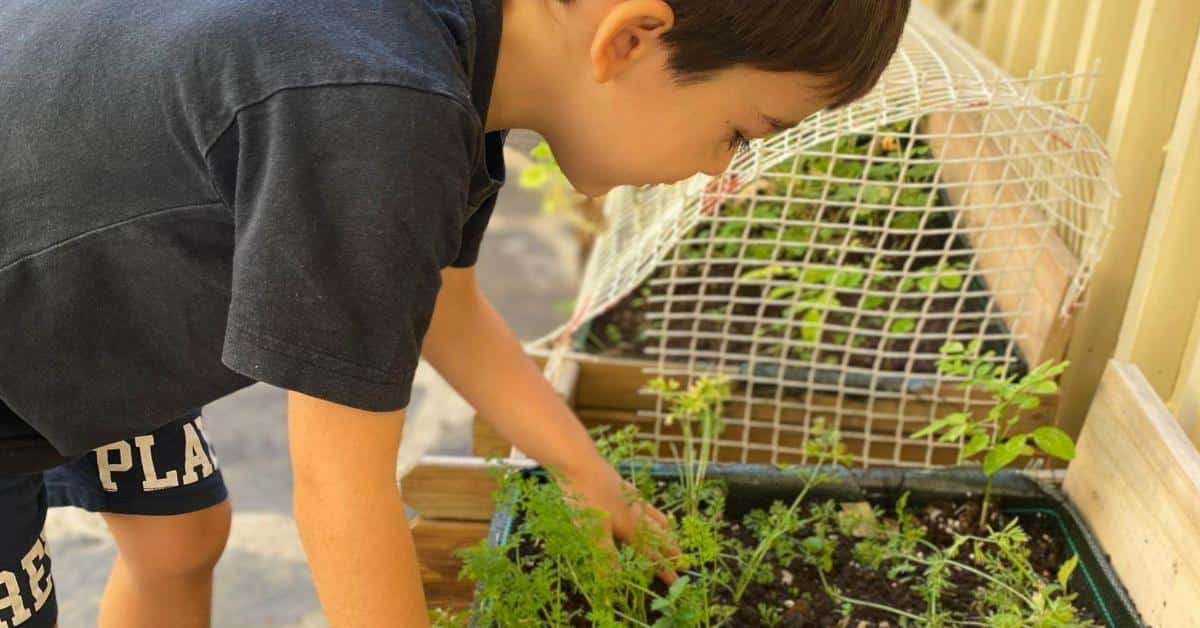 Educación ambiental infantil: Enseñando a los más pequeños a cuidar ...